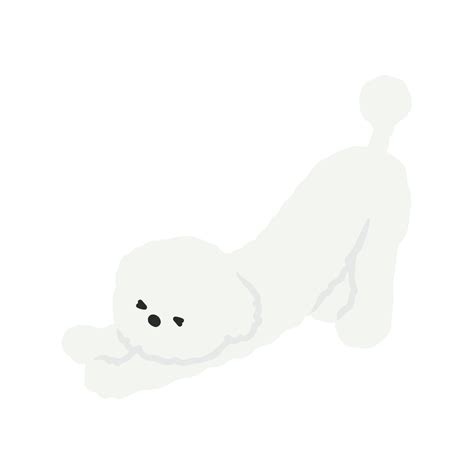 The Beautiful Red Cavalier Understanding The Ruby Coat Color