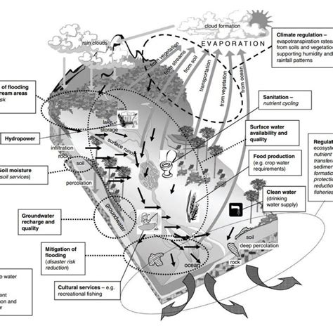 Sphy Model Concepts Download Scientific Diagram