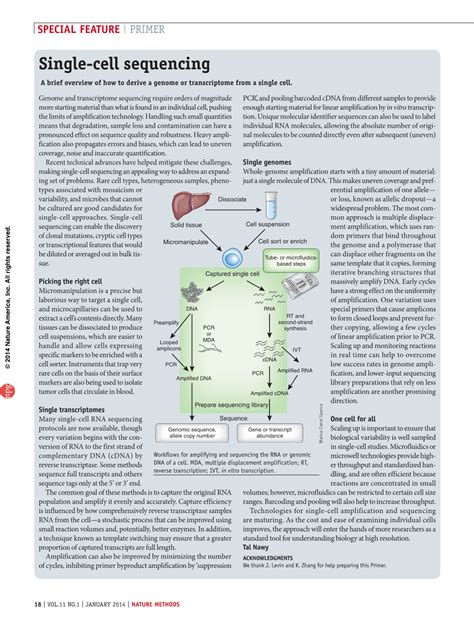 Single Cell Sequencing A Brief Overview Of How To Derive A Genome Or