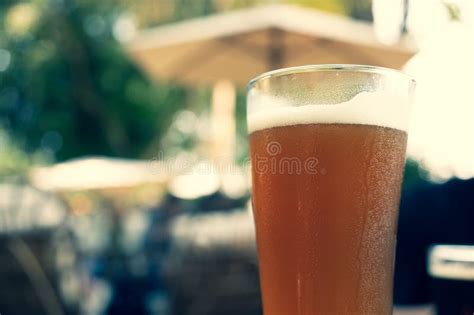 Light Beer In A Tall Twisted Glass Stock Image Image Of Food Draft