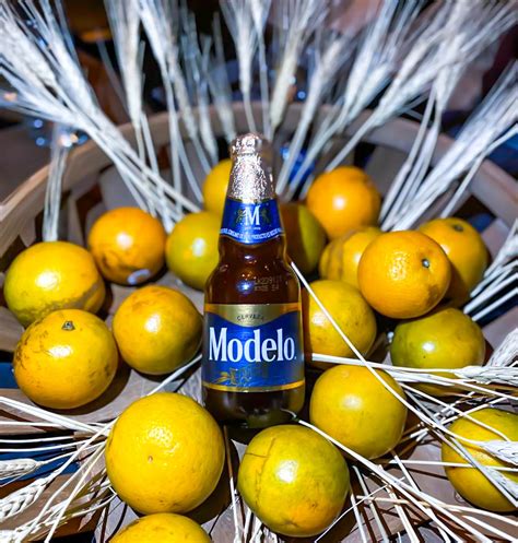 Open Addiction Cerveza Modelo Trigo