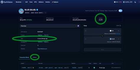 Suivision Sui Blockchain Explorer Guide To Analyzing Meme Coins Stouy