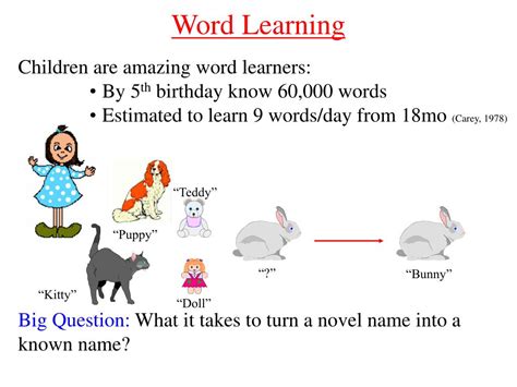 Ppt Real Time Dynamics Of Language Acquisition In Two Year Old