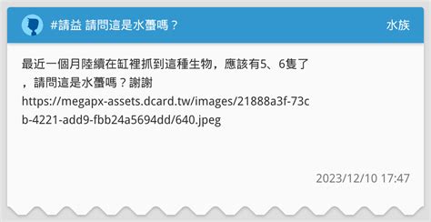 請益 請問這是水蠆嗎 水族板 Dcard