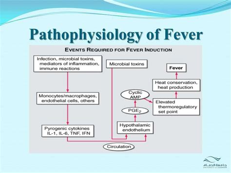 Porth Pathophysiology Test Bank A Comprehensive Resource For