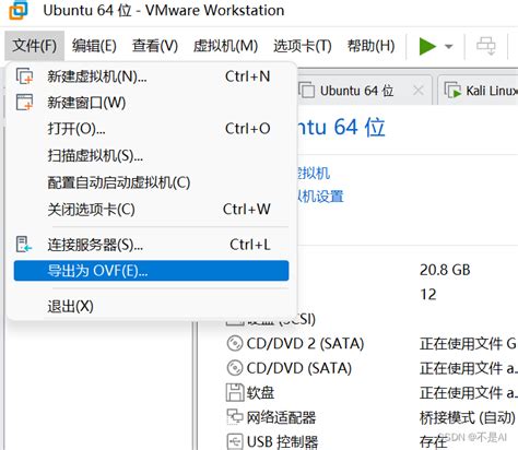 【全】virtualbox and vmware workstation 虚拟机导入 导出步骤 vmware导出虚拟机 csdn博客