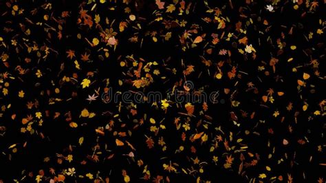 3d Rendering Autumn Leaves Pattern On A Black Isolated Background Stock Illustration