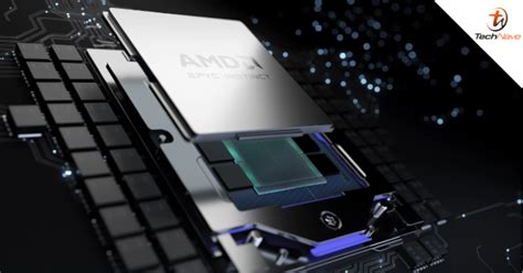 AMD Completes Its Th Gen AMD EPYC Family With The Release Of Siena EPYC Processors TechNave