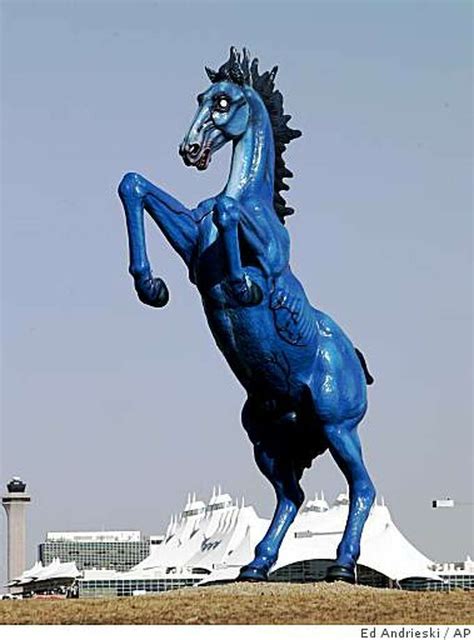 Horse In Denver Airport At Milla Gadsdon Blog