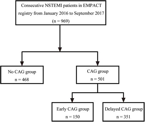 Frontiers Timing Of Angiography And Outcomes In Patients With Non St Segment Elevation