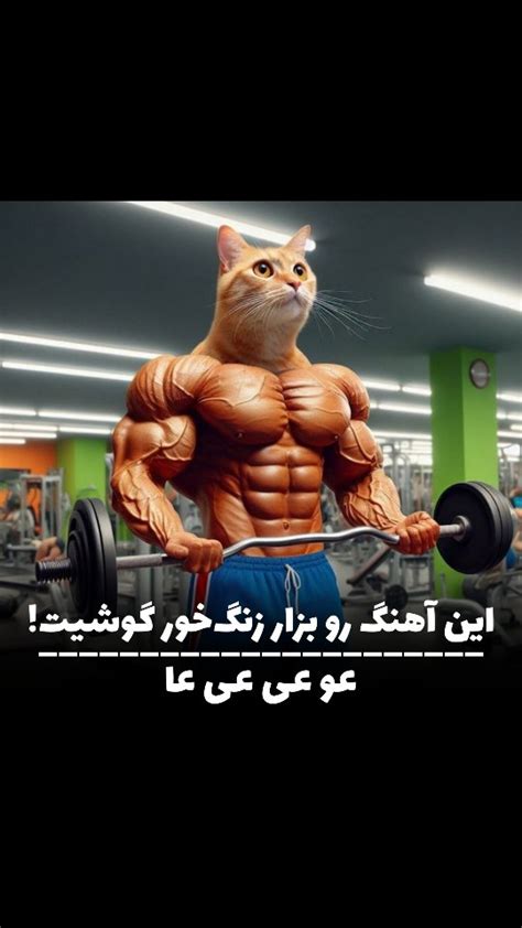 ‎🎶معرفی موزیک🎶‎ ‎طریقه دانلود آهنگ ها 👇🏻 آهنگ هارو با توجه به