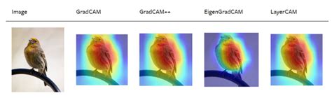 使用 Grad Cam 可视化 Vit 的输出，揭示视觉 Transformer 的工作原理 知乎