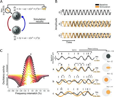 Simple Oscillator Models Can Account For The Varied Effects Of Tes A Download Scientific