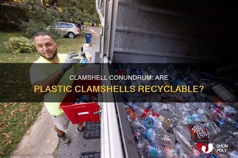 Clamshell Conundrum Are Plastic Clamshells Recyclable Shunpoly