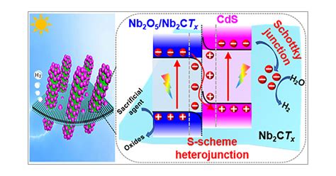 S Scheme And Schottky Junction Synchronous Regulation Boost Hierarchical Cdsnb2o5nb2ctx Mxene