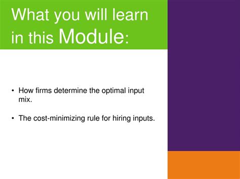 Ppt Cost Minimizing Input Combinations Powerpoint Presentation Free