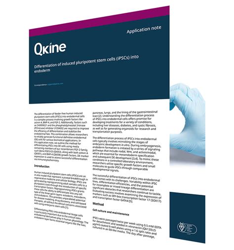 Differentiation Of Induced Pluripotent Stem Cells Ipscs Into Endoderm