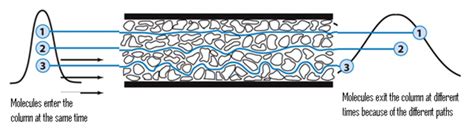 Eddy Diffusion Multipath Broadening In Chromatography Chemistry