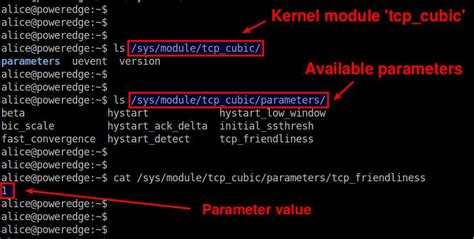 How To Find Information About Built In Kernel Modules On Linux