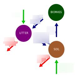 The Nutrient Cycle Diagram Quizlet The Nutrient Cycle Diagram Quizlet