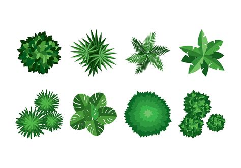 Tree Tops Flat Vector 124082 Vector Art At Vecteezy