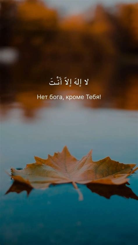 Al Quran Sayings Аль Ахзаб Союзники Чтец Muhammadloiq ️Оставь любой комментарий за