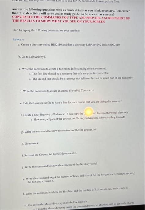 Solved Nswer The Following Questions With As Much Details As