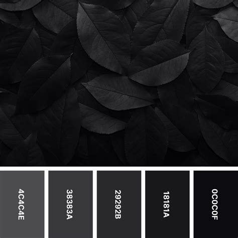Soft Dark Color Palettes 900x1350