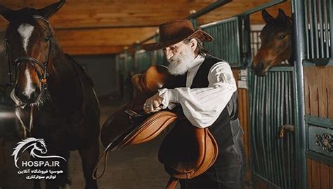 تجربه سوارکاران تازه کار در خرید زین اسب از هوسپا ایرنا