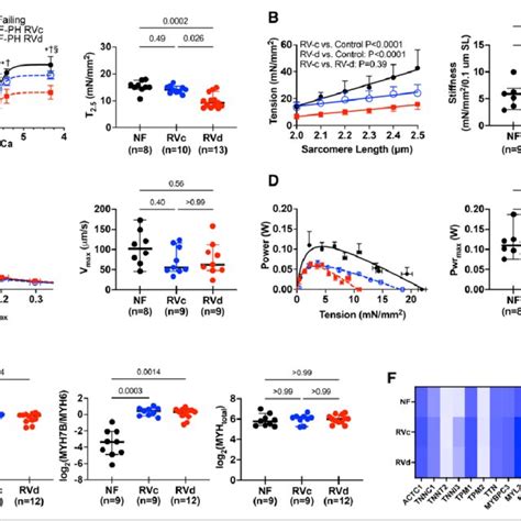 Unsupervised Machine Learning Identifies 2 Subgroups Of Cardiomyocyte Download Scientific