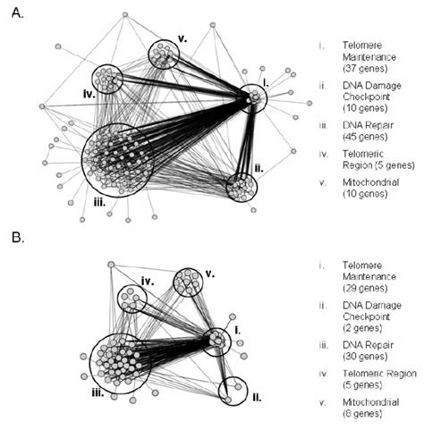The Clusters From Fig 5 Displaying Nodes Annotated To Download Scientific Diagram
