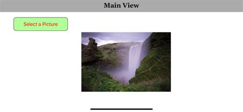 Programmers Sample Guide Ios Swift Image Picker Example