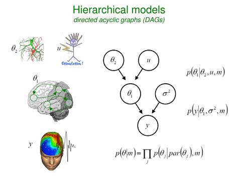 Ppt J Daunizeau Institute Of Empirical Research In Economics Zurich Switzerland Brain And