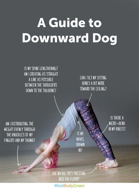 Neu Downward Dog Yoga Pose Benefits Yoga X Poses
