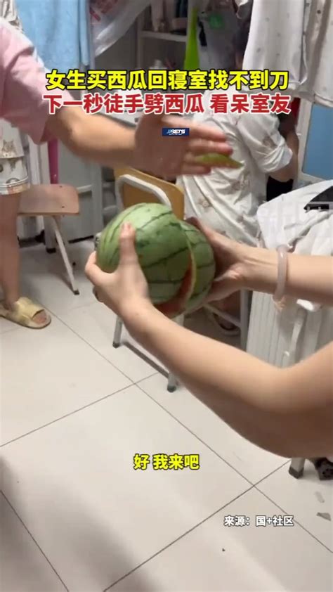 Meme搞笑视频🔎 好奇为什么理发师不给自己弄一个？😆 梗圖 梗圖大全 搞笑 梗图系列 梗图笑话 Memesdaily 生活 十二星座 搞笑語錄 搞笑日常