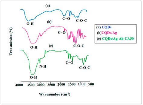 Correction Alarfaj Et Al Ca 19 9 Pancreatic Tumor Marker Fluorescence Immunosensing Detection