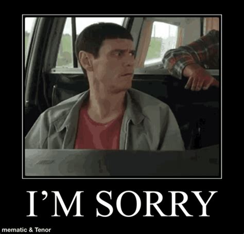 Sorry Im Sorry  Sorry Im Sorry Im So Sorry Discover And Share S
