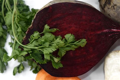 무료 사진 근대의 뿌리 교차 구역 녹색 잎 절반 뿌리 음식 허브 야채 신선한 파 슬 리