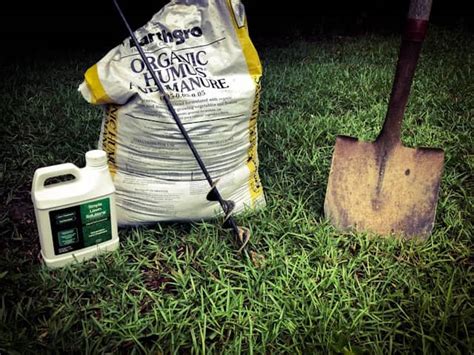 How To Improve Clay Soil Without Tilling Thriving Yard