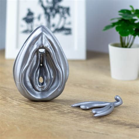 Vulva Anatomy Model Etsy