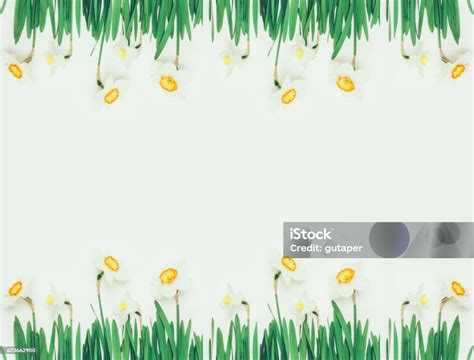 꽃의 봄 꽃 프레임 텍스트에 대 한 공간을 가진 흰색 배경에 선화 틴트 사진 0명에 대한 스톡 사진 및 기타 이미지 0명 계절 꽃 나무 Istock