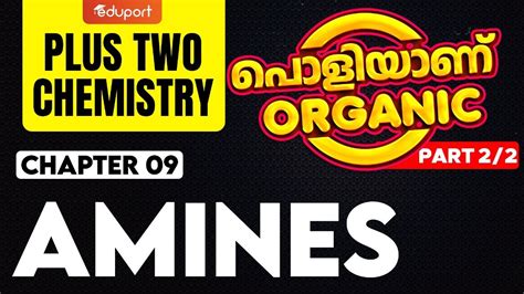 Plus Two Organic Chemistry Amines Part 2 Eduport Plus Two Youtube