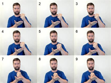 Passport Asl Dictionary