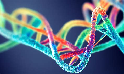 New Tool Reveals Hidden Complexity Of Genome Architecture