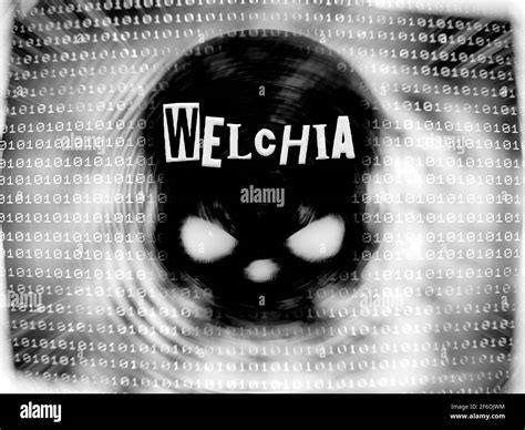 Welchia Worm Nachi Worm Virus Binary Background Black And White Malicious Software Stock