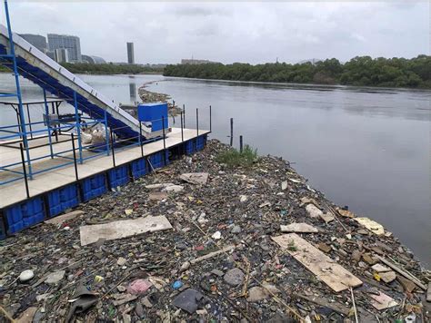 Heres How Mumbais Most Polluted River Is Being Cleaned Up Citizen
