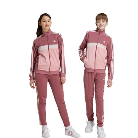 Conjunto Adidas Essentials Innovasport