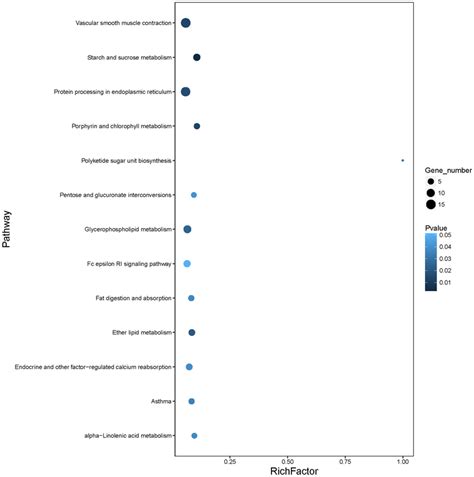 Enrichment Analysis Of Kegg Pathways And All 13 Significantly Enriched