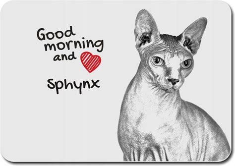 Kot Sfinks Ppmk010 Opinie I Ceny Na Ceneopl