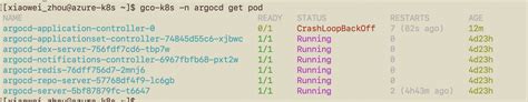 Argocd Application Controller Keeps In Crashloopbackoff State · Issue 13025 · Argoprojargo Cd